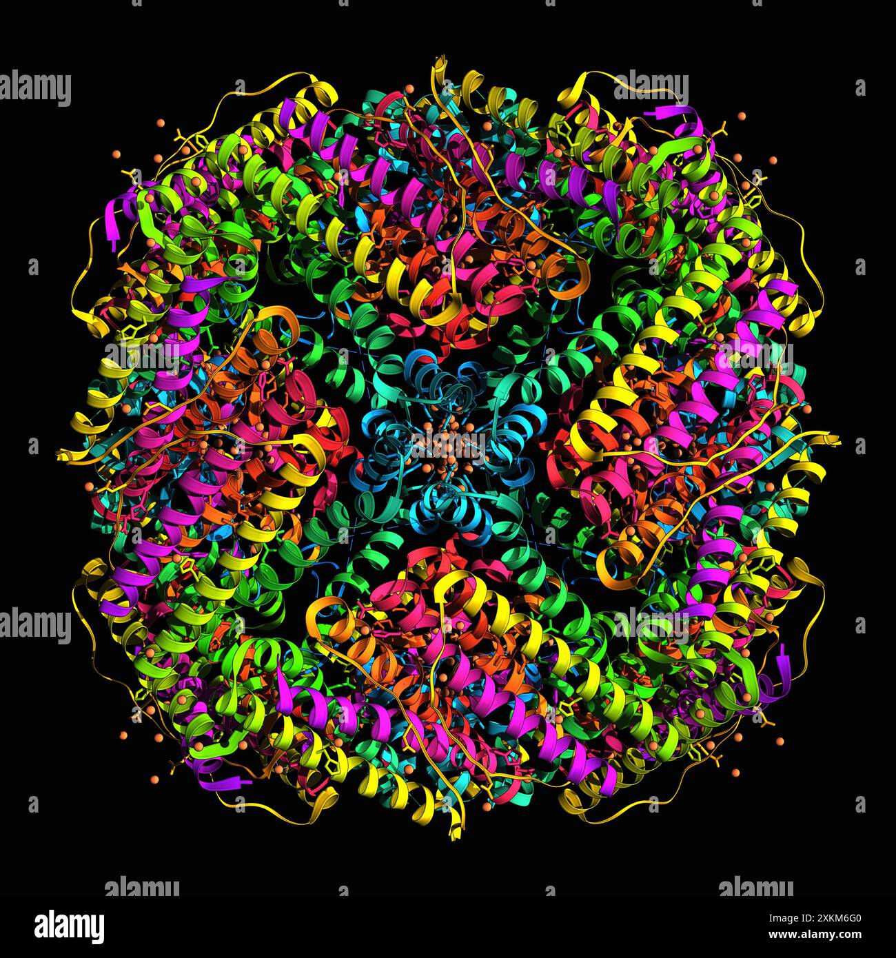 Molecular model of a Fe-O nanocluster from Ureaplasma diversum ...