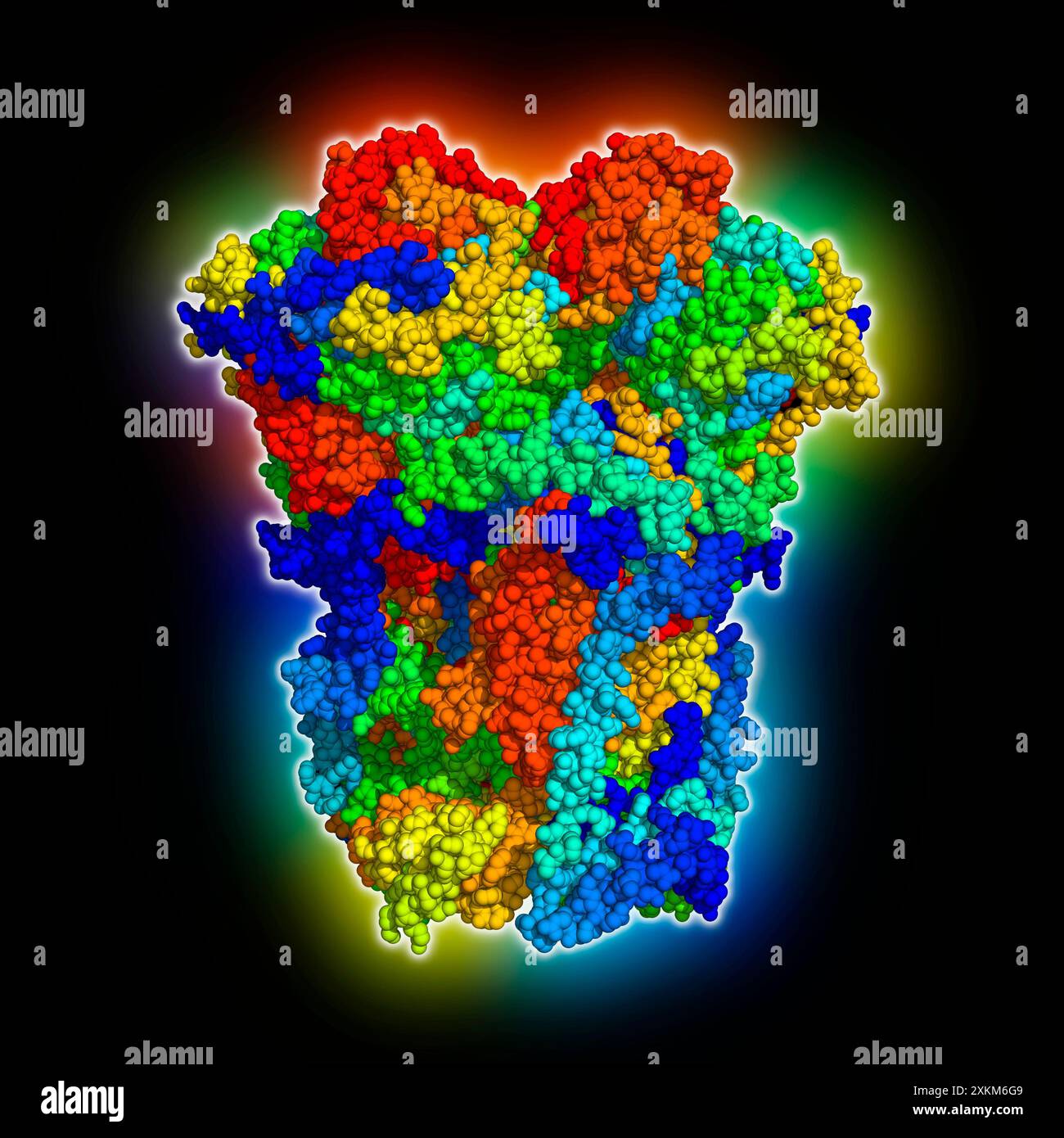 Molecular model of complex III consisting of the mitochondrial ...