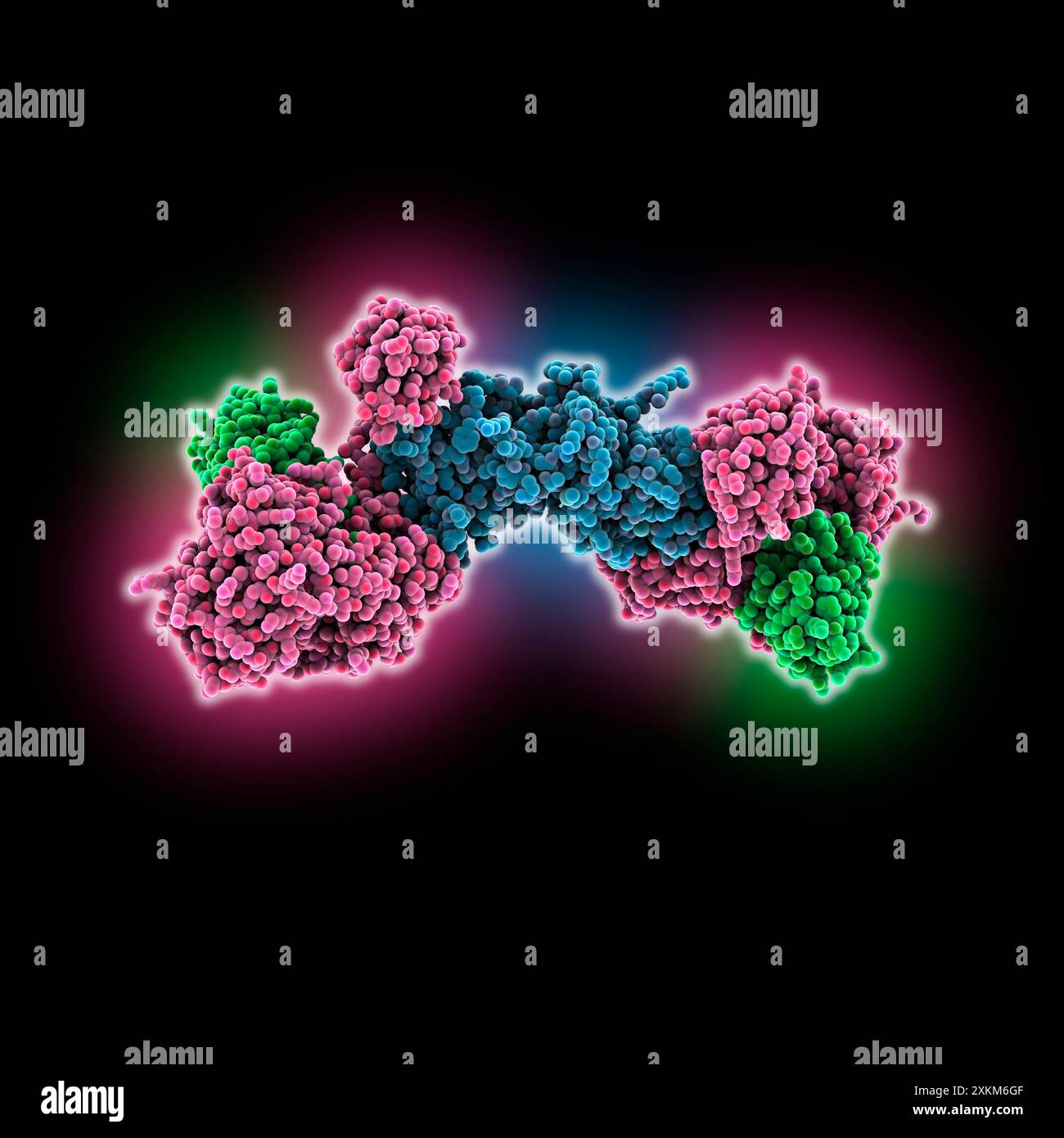 Molecular model of the E1 (magenta), E2 (blue) and UbI (green) complex ...
