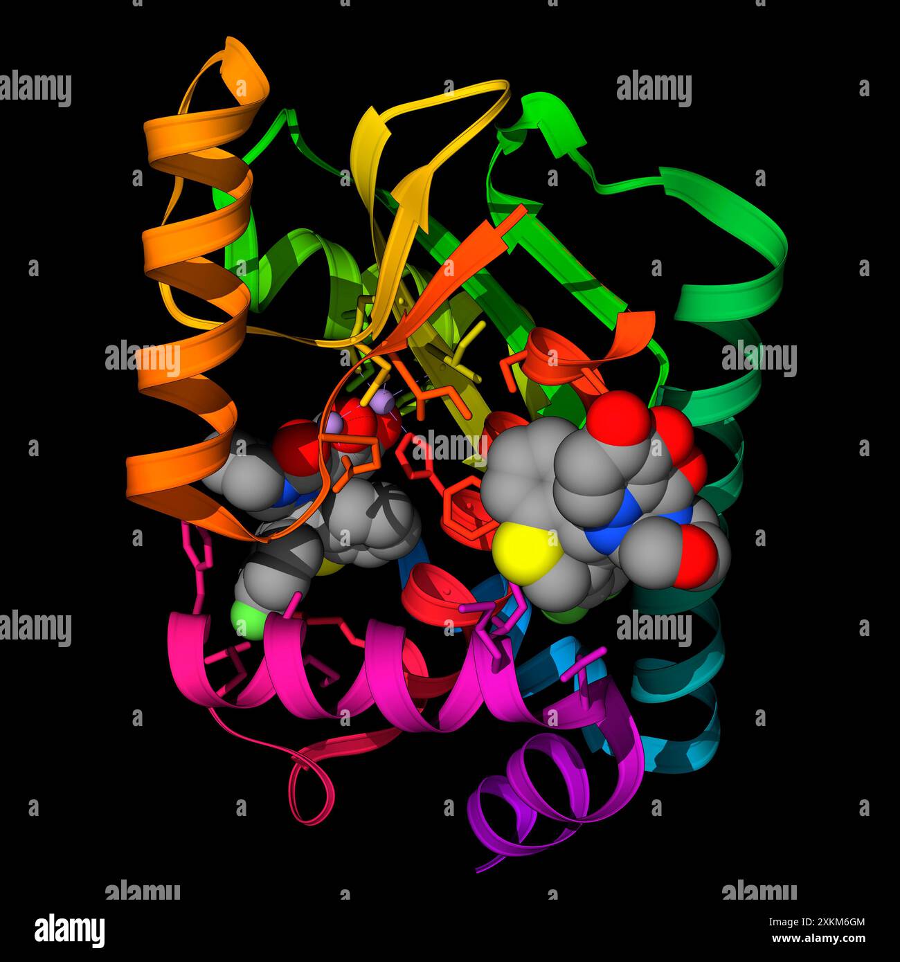 Molecular model of an influenza RNA-dependent RNA PAN (polymerase ...
