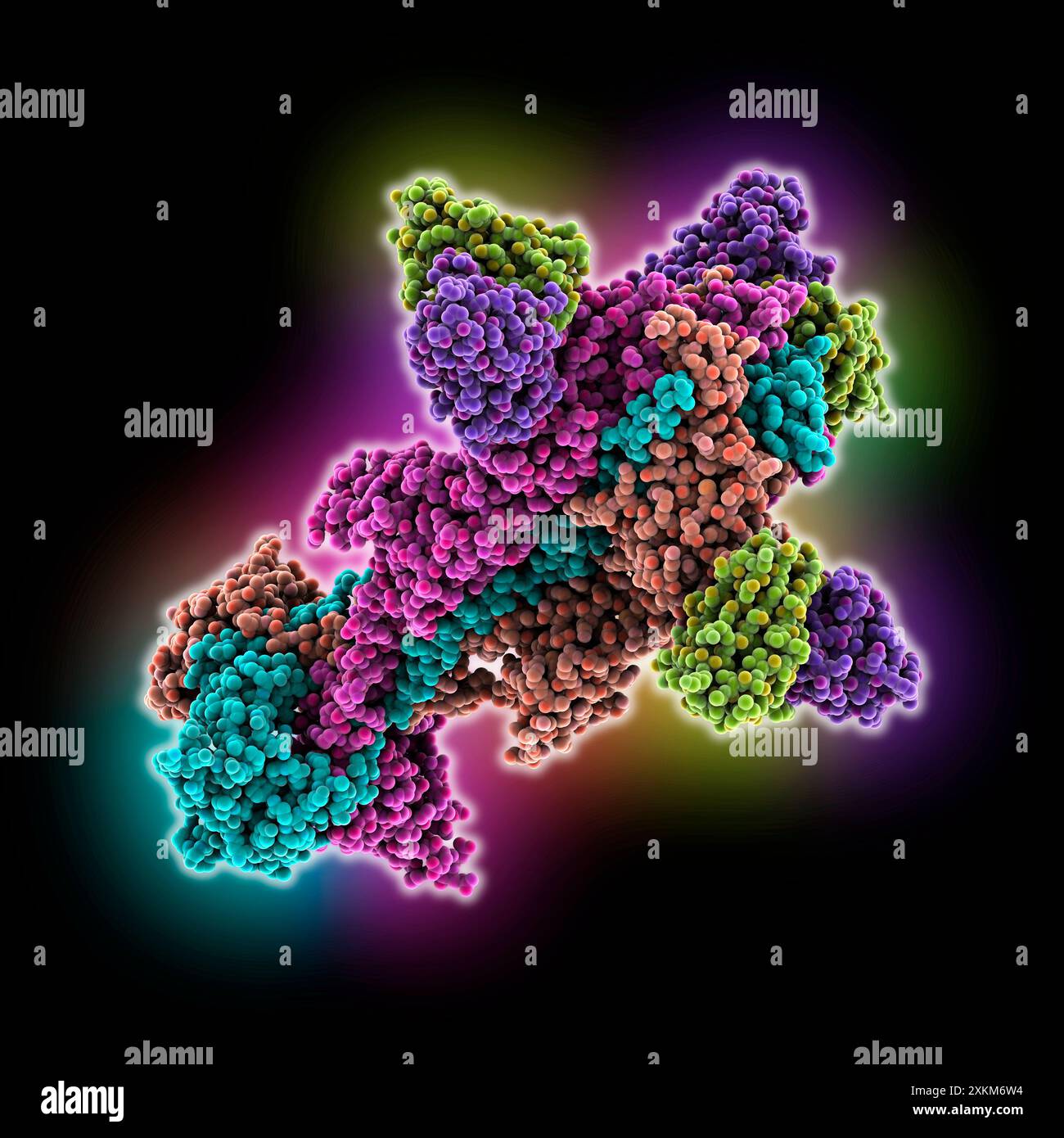 Herpes virus 2G (HSV-2G) in post fusion conformation with three bound ...