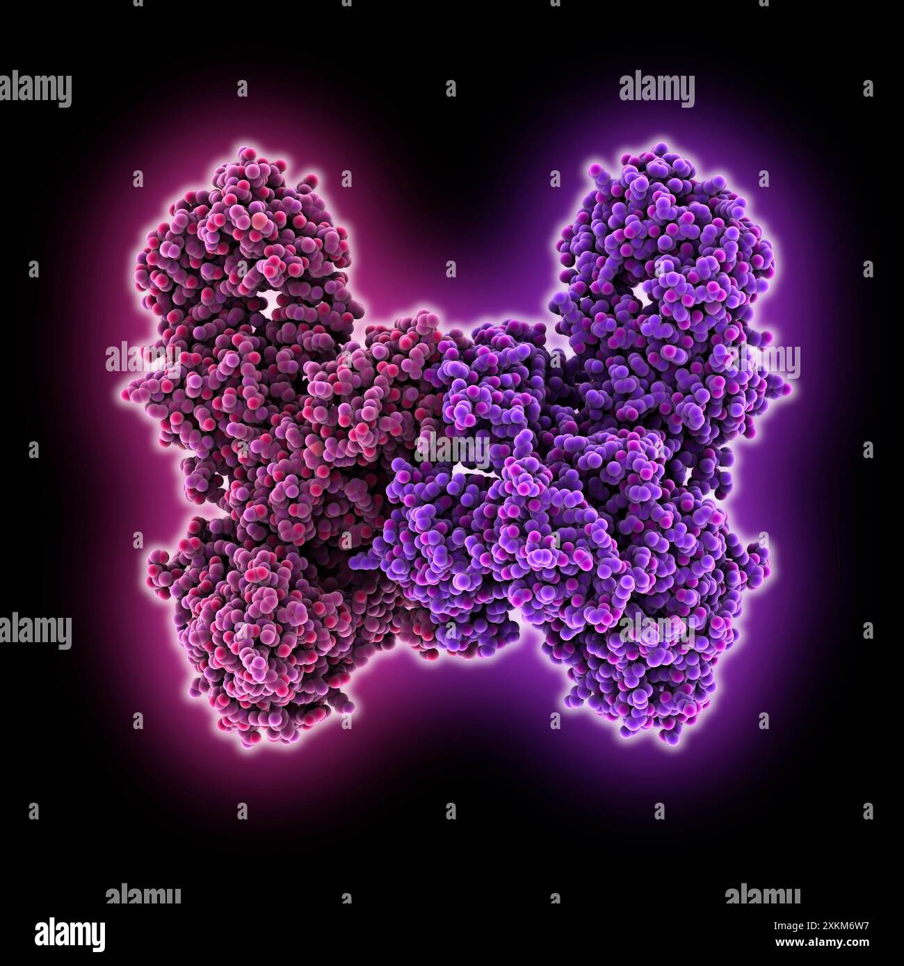 DdmDE defence system aka Helicase/UvrB N-terminal domain-containing ...