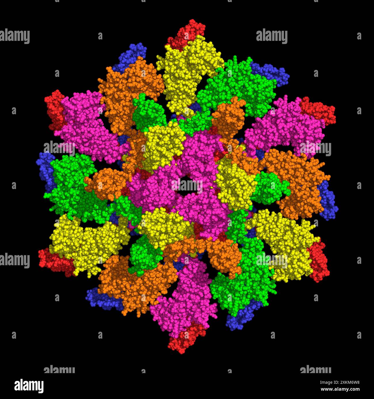 SARS-CoV-2 nsp 3/4 double membrane vesicle (DMV) pore complex ...