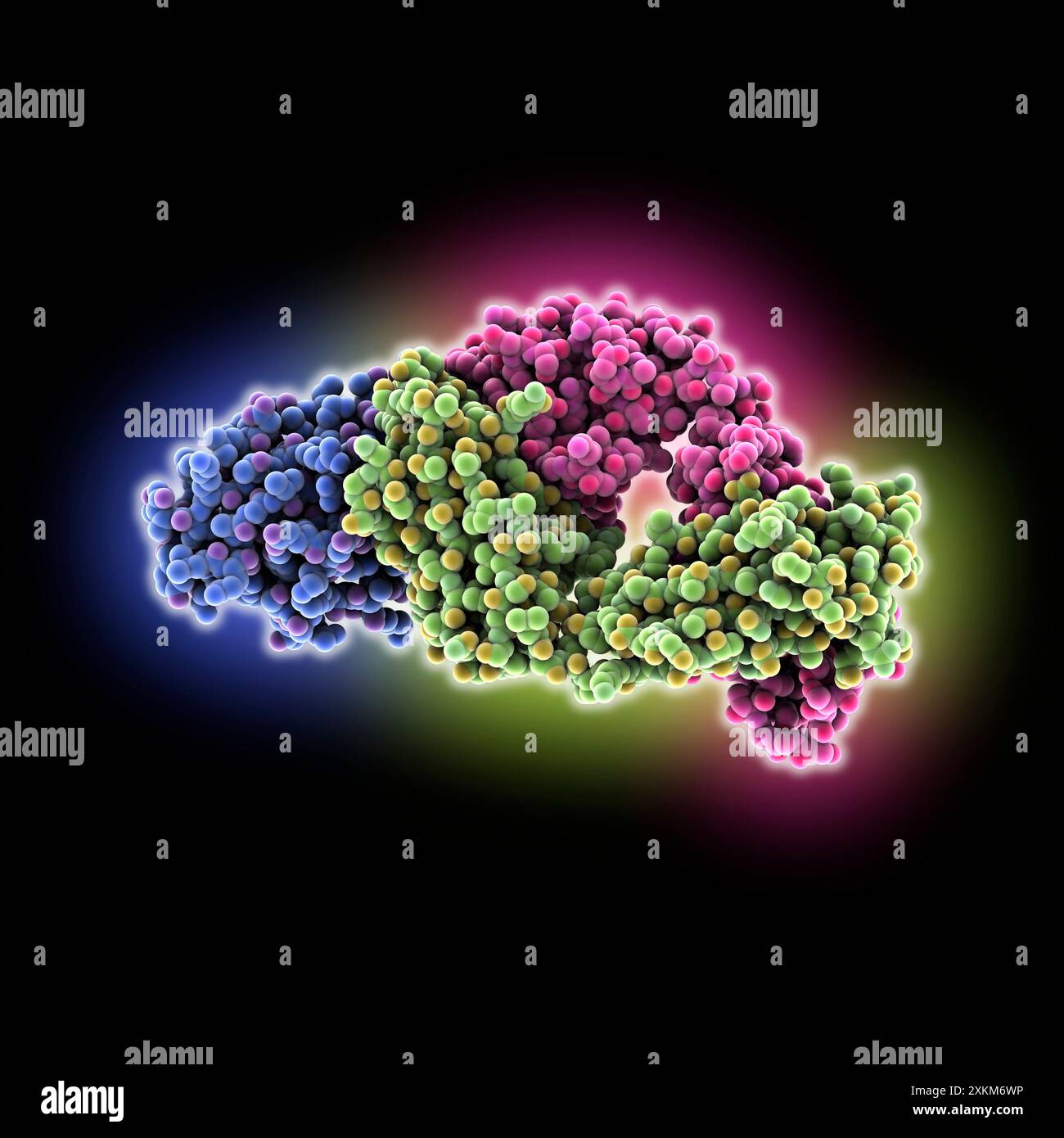 Antibody S79 complexed with human PD-L1 (programmed cell death 1 ligand ...