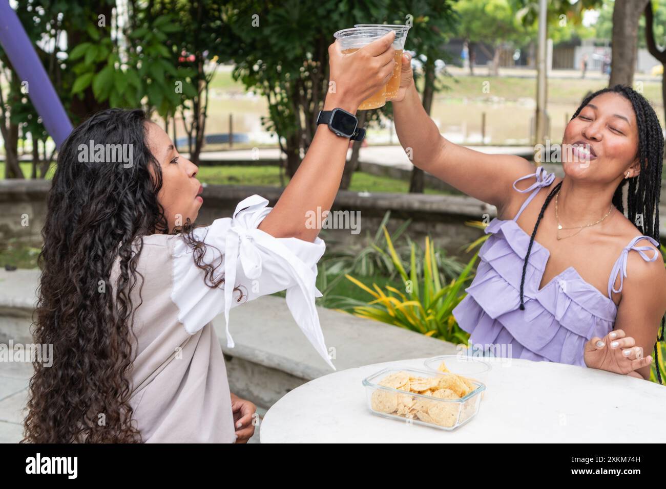 Toasting drinks hi-res stock photography and images - Alamy