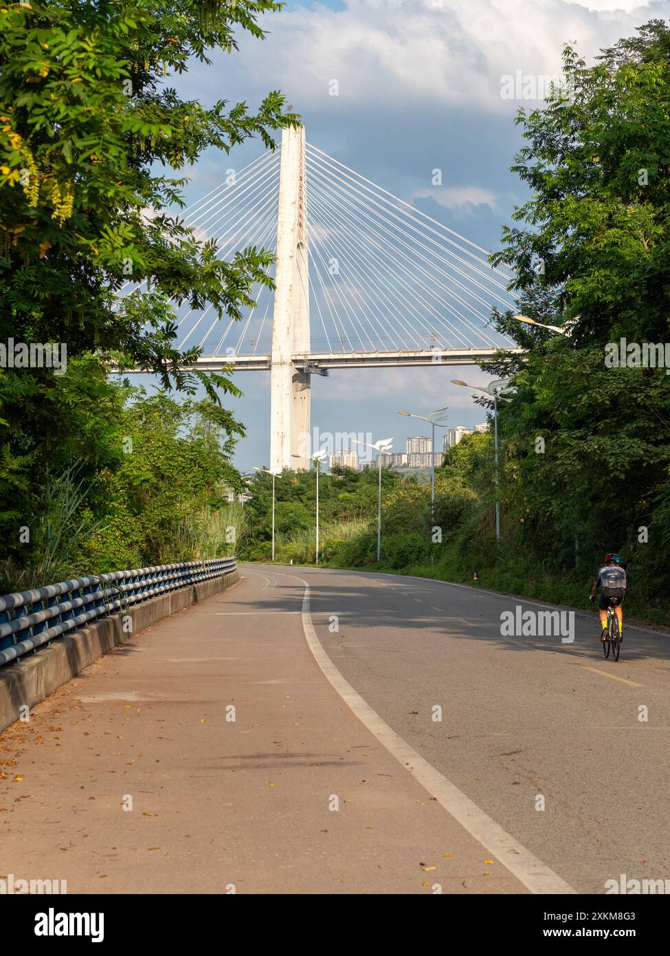 A road alongside Yangtze river, highrise city railway bridge across ...