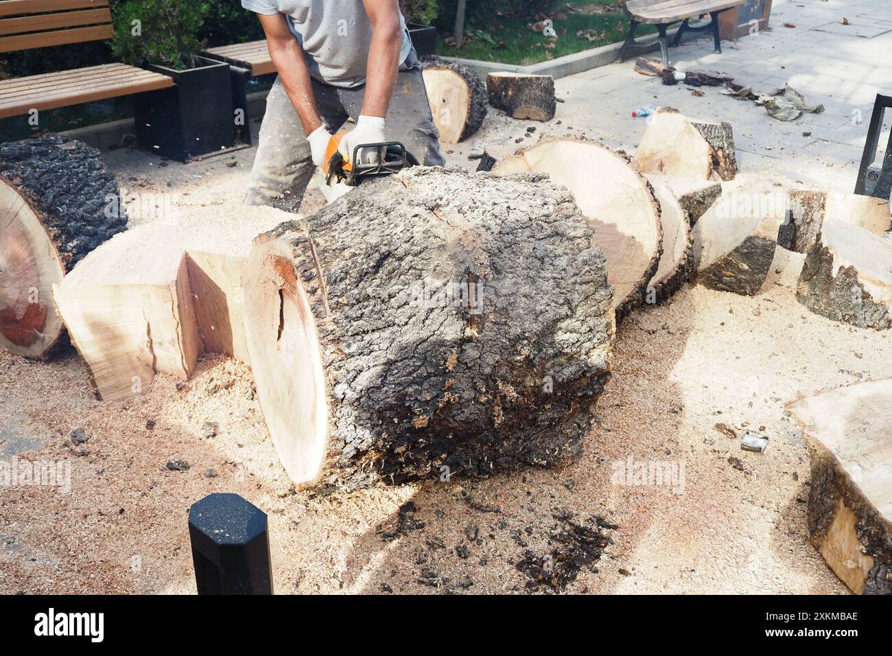 Stack of hardwood logs create a rustic landscape in front of the house ...
