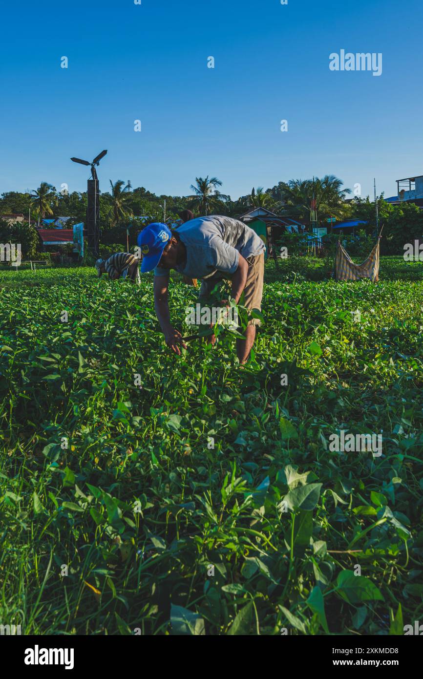 Balikpapan, Indonesia - May 30th, 2024. They are working under direct ...