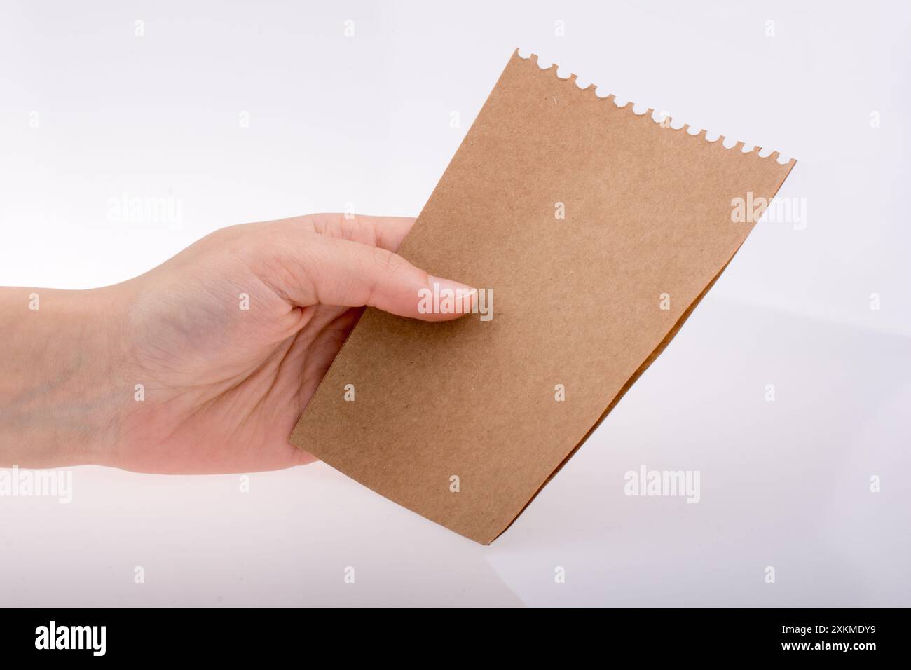 Hand holding a sheet of paper on a white background Stock Photo - Alamy