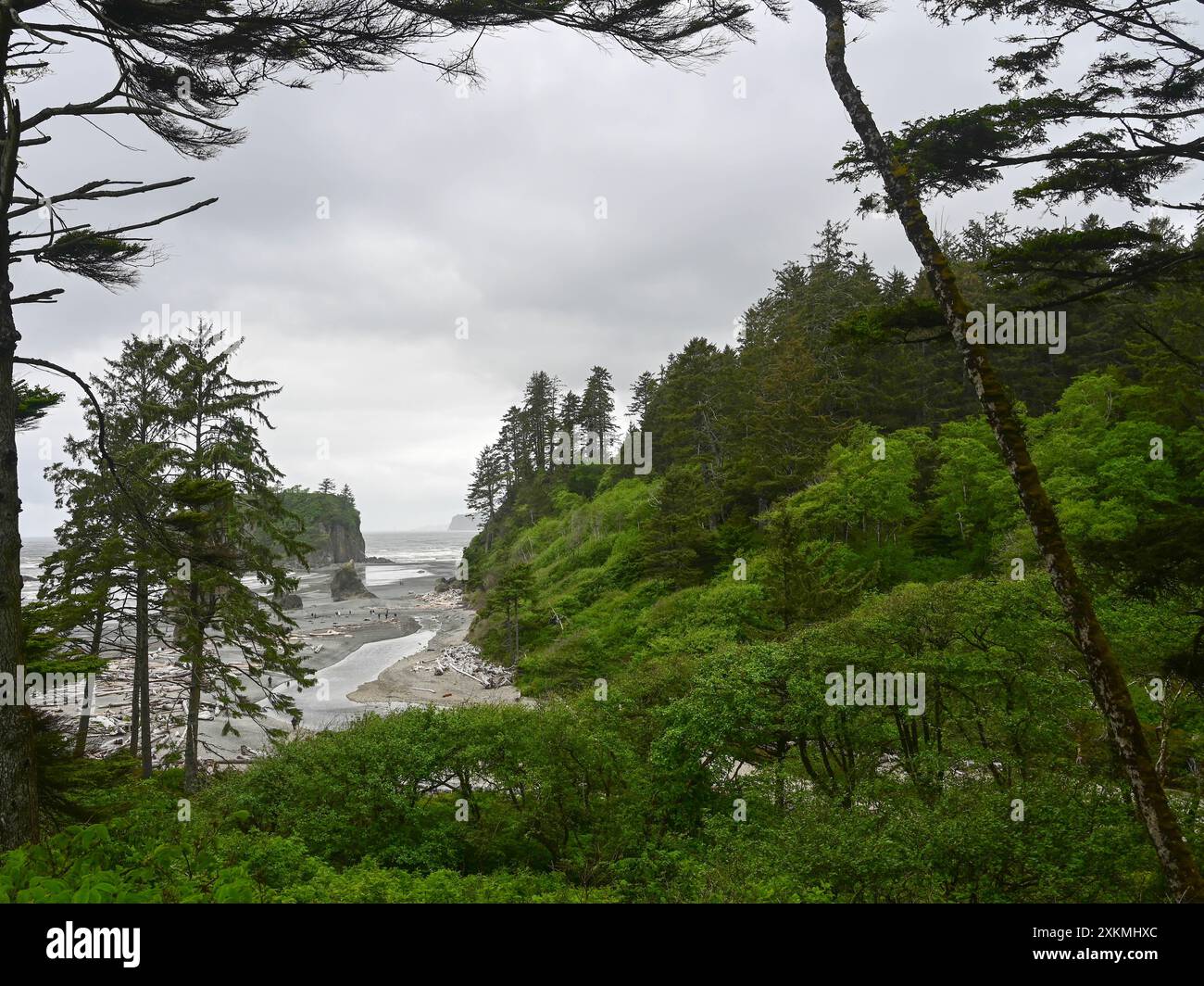View of Ruby Beach on the Olympic Peninsula coastline in WA state Stock ...