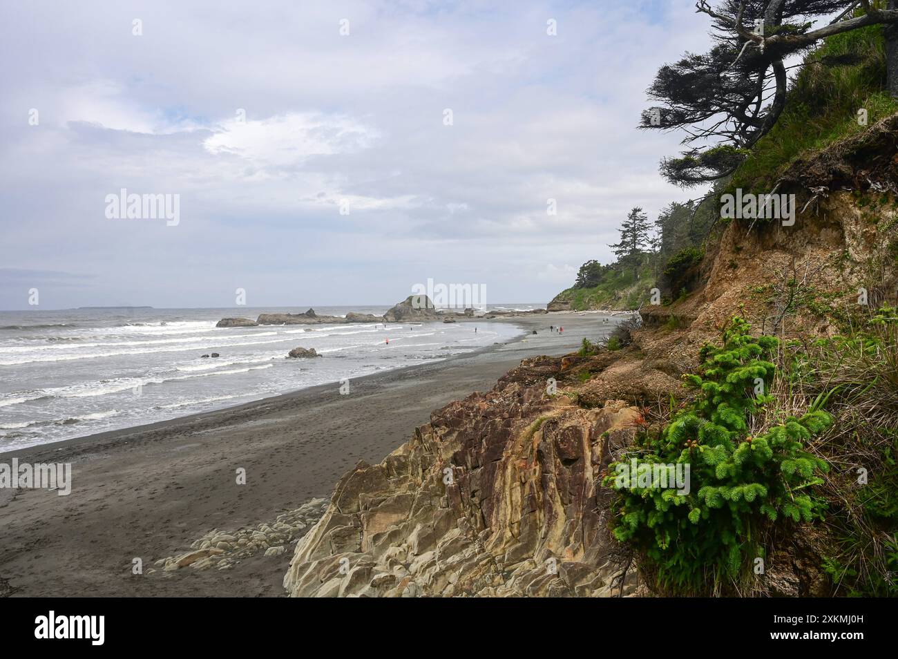 Geographical features at Beach Four, Olympic National Park, WA Stock ...