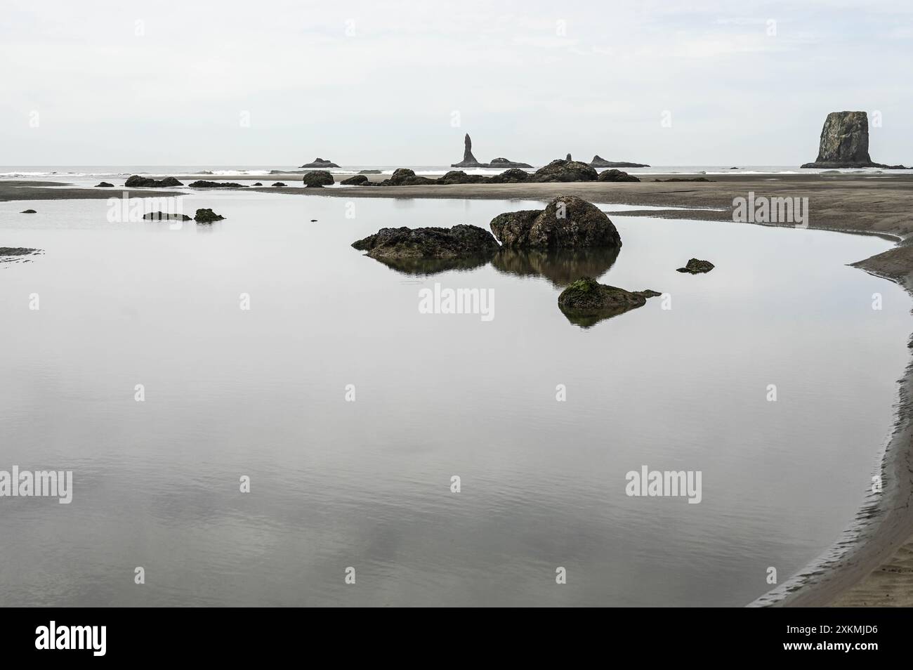 Tide pools at Second Beach, Olympic National Park, Washington state ...