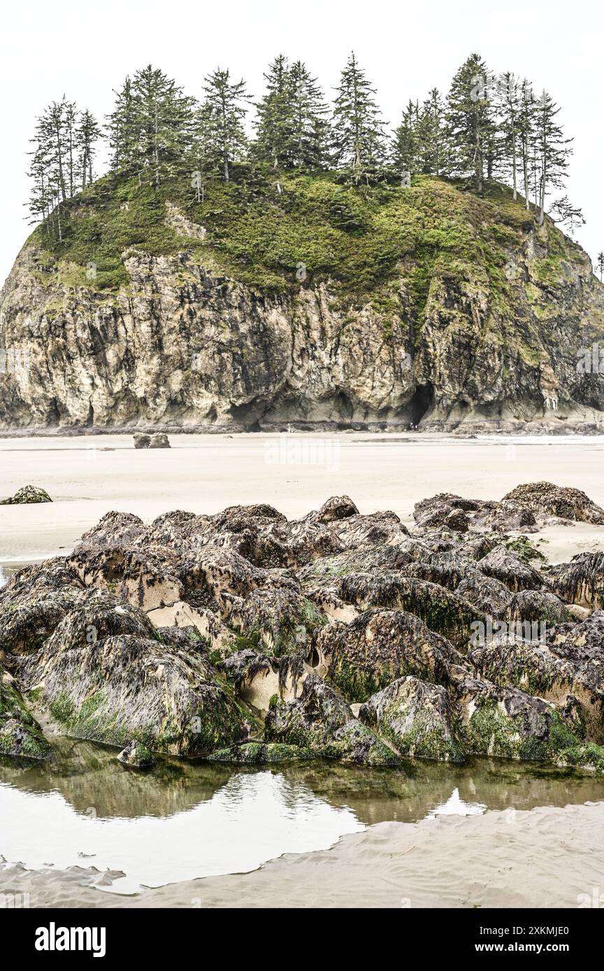 Washington coastal scenery with rock geology and trees a top an island ...