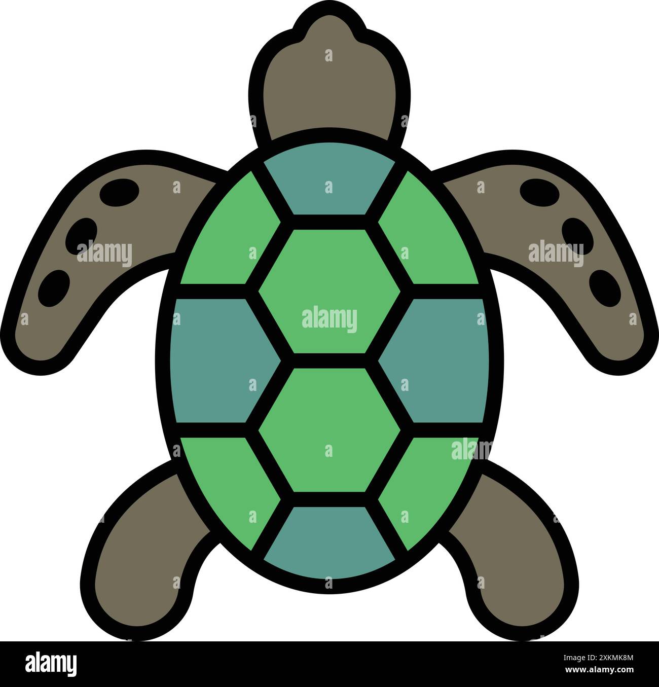 Green sea turtle fish line hi-res stock photography and images - Alamy