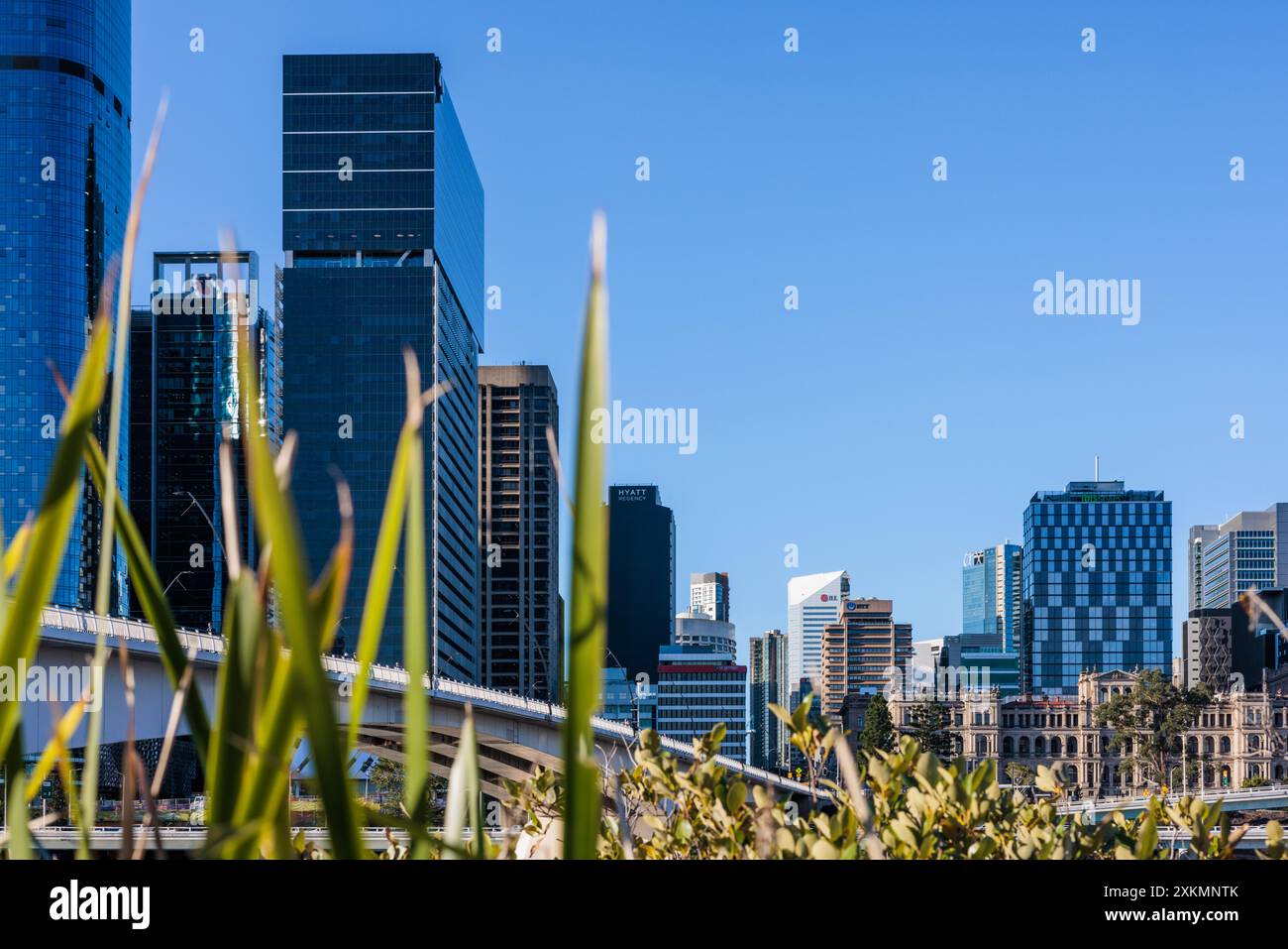 Cityscape view of Brisbane Central Business District, Queensland ...