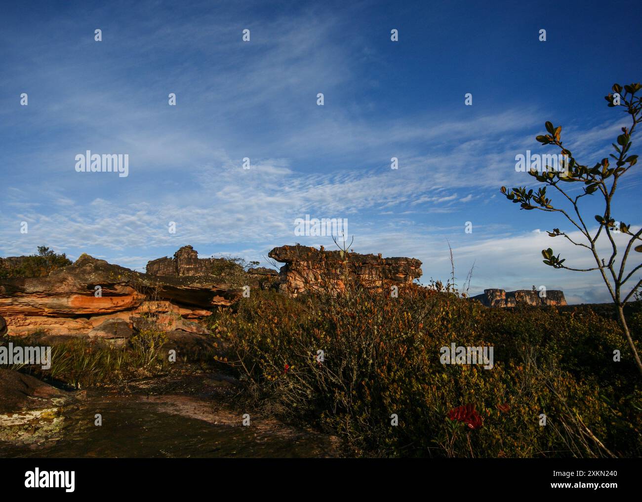 Sandstone rock formation on Auyan Tepui lighted by the rising morning ...