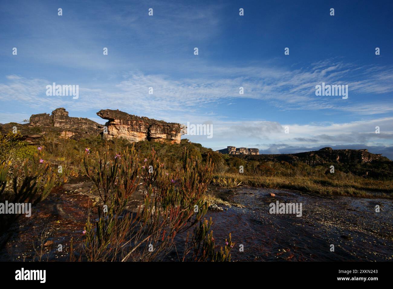 River, rock formations and hills on the plateau of Auyan Tepui, in ...