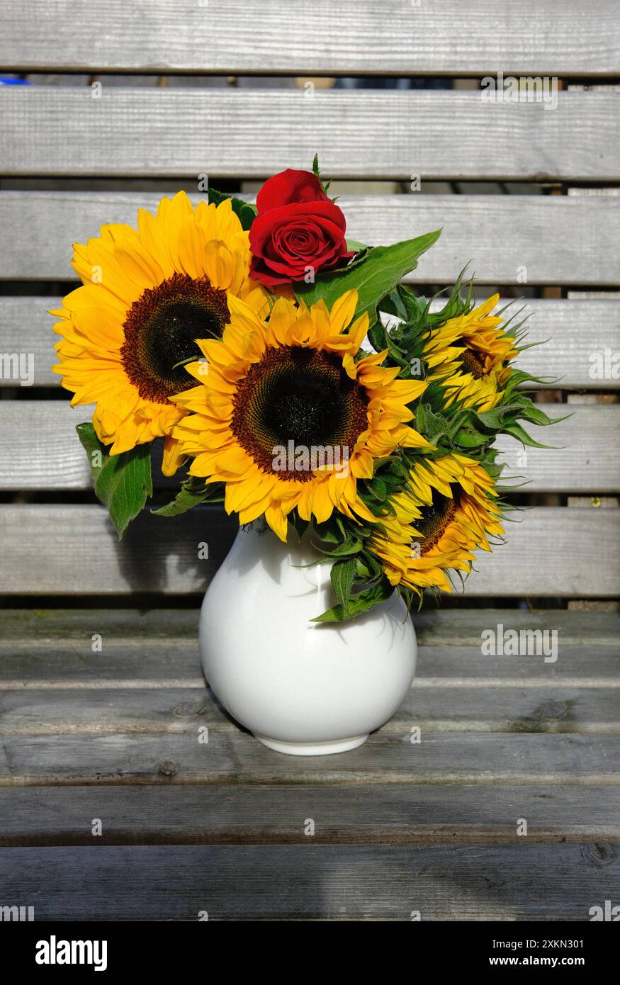 Sunflowers & Red Rose Stock Photo - Alamy