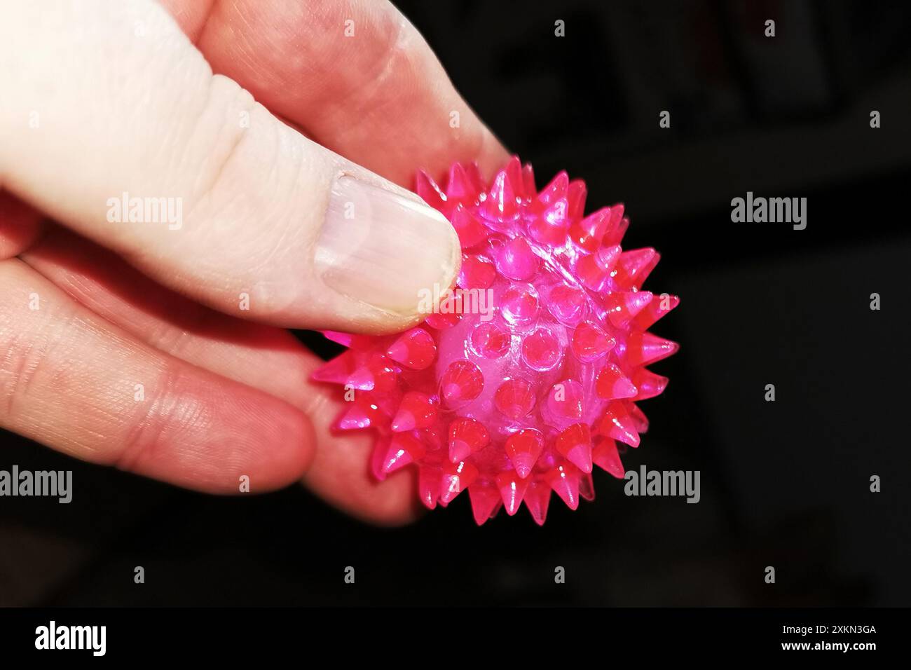 covid 19 plastic model in human hand Stock Photo - Alamy