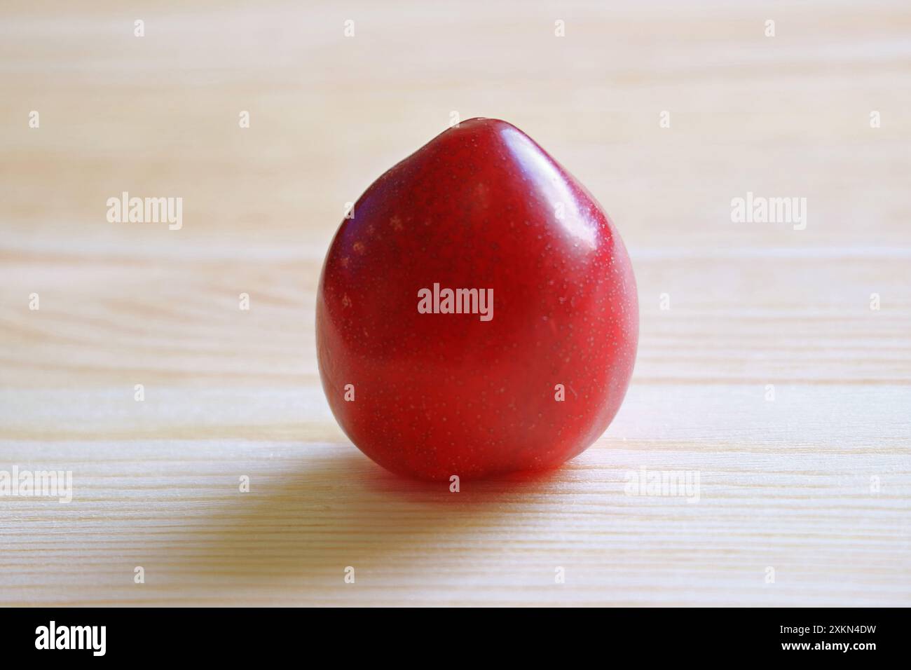 Gulf ruby dwarf plum hi-res stock photography and images - Alamy