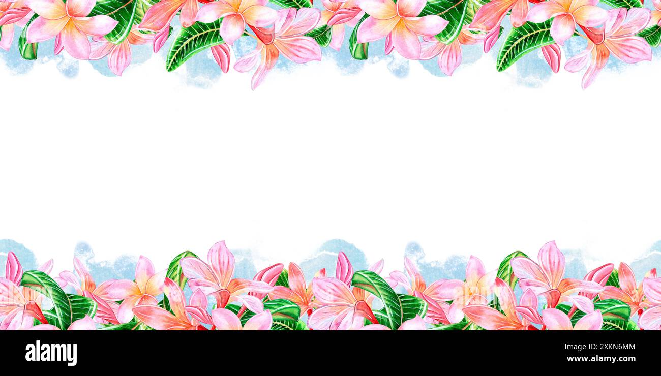 Tropical pink plumeria flowers with leaves.Seamless frame, banner ...