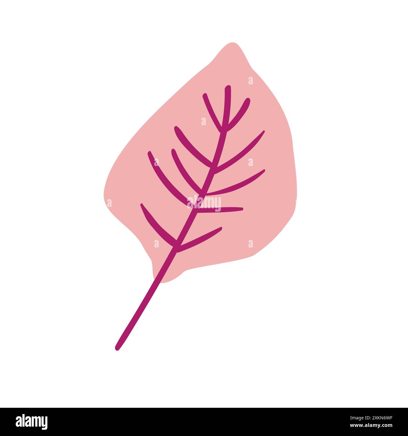 Pink with red veins Stock Vector Images - Alamy