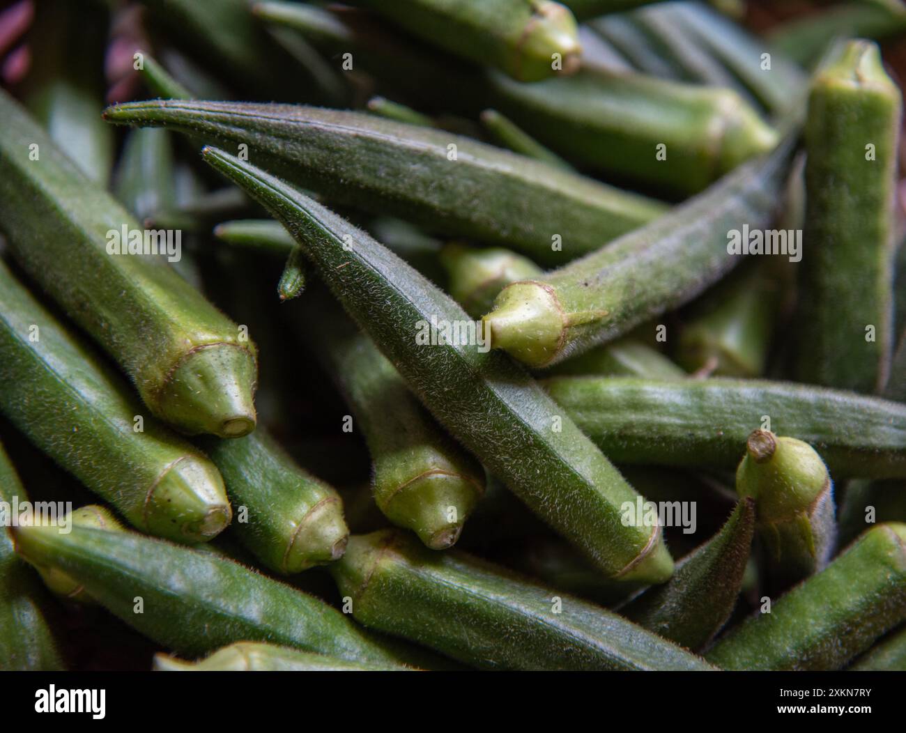 Fresh vegetable okra or ladies finger vegetable background Stock Photo ...
