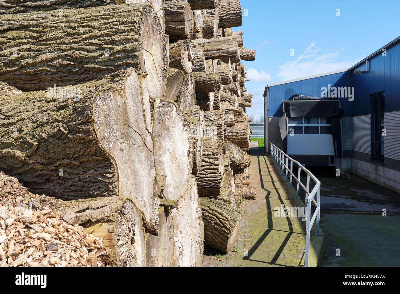 Tree trunks and wood chips next to a biomass energy station. The ...