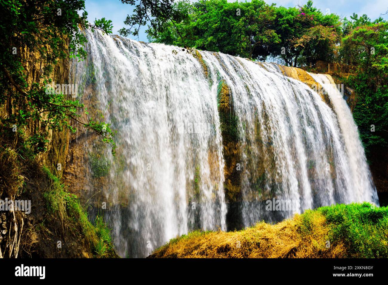 Amazing waterfall with crystal clear water among green woods Stock ...