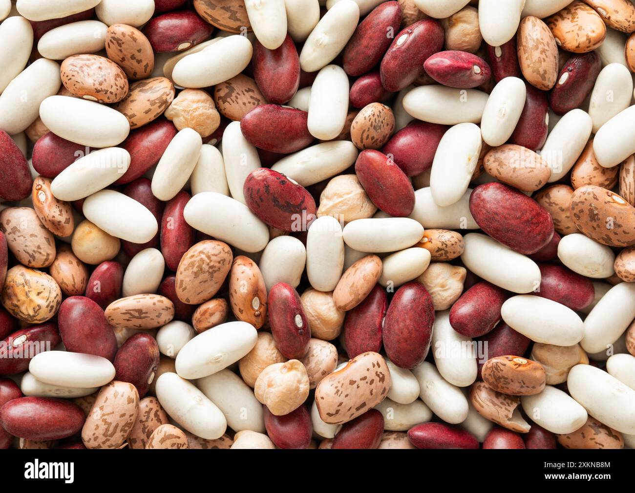Assorted mix of red and white and variegated bean seeds with chickpeas ...