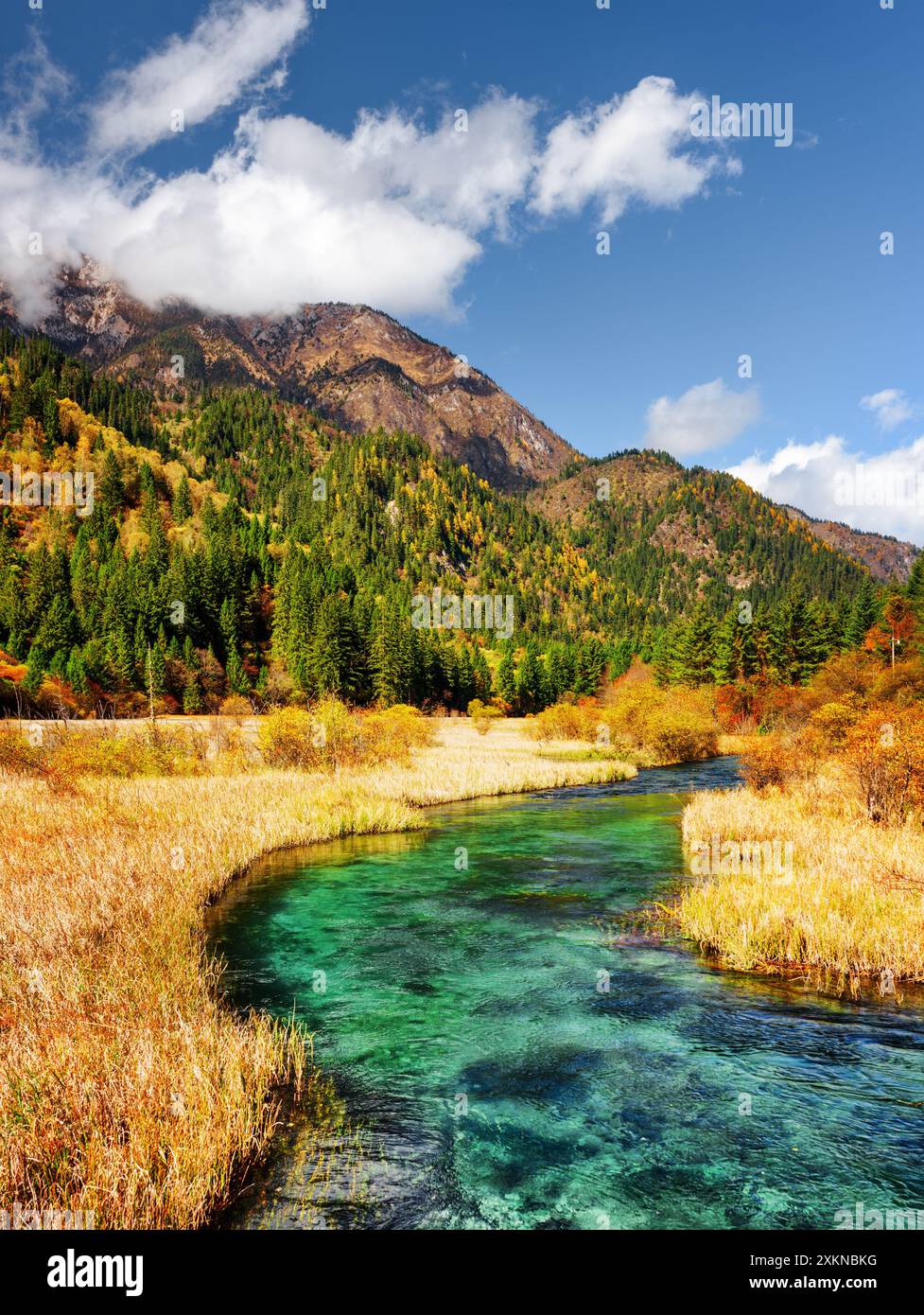Beautiful river with azure crystal clear water among fall fields Stock ...