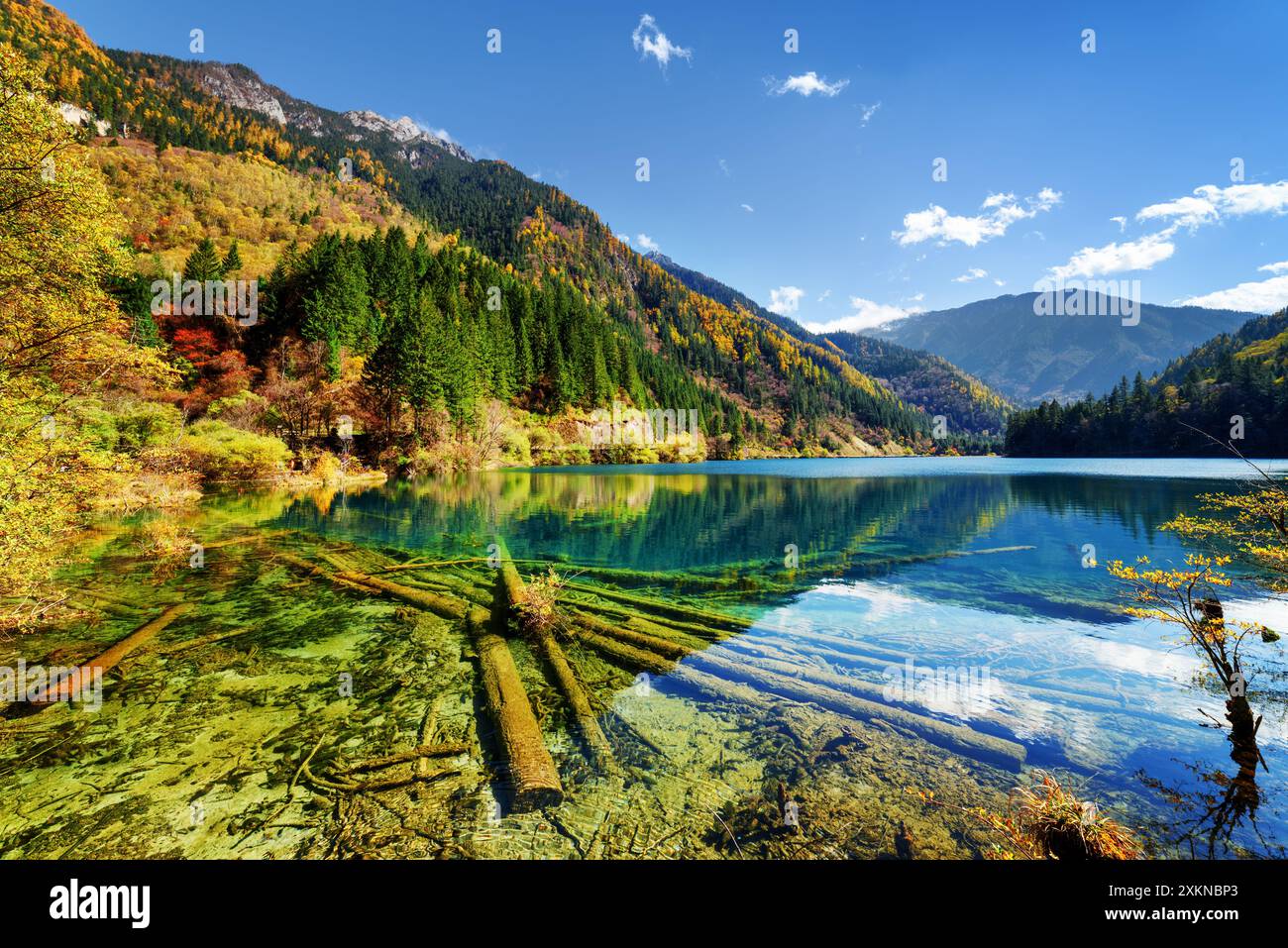 Amazing view of the Arrow Bamboo Lake with crystal clear water Stock ...
