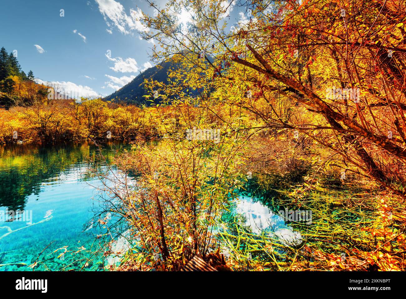 Amazing pond with azure crystal clear water among fall woods Stock ...