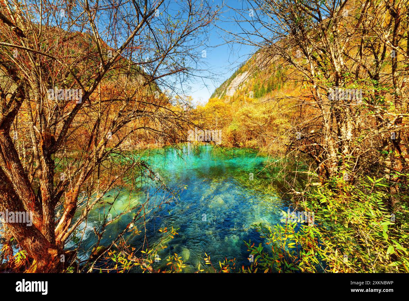 Scenic pond with emerald crystal water among colorful fall woods Stock ...