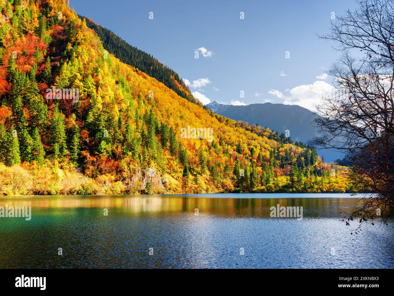 Amazing view of the Panda Lake among colorful fall woods Stock Photo ...