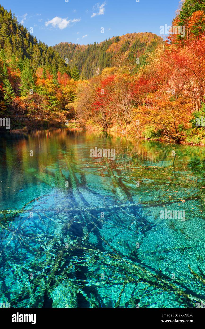Jiuzhaigou national park five flower hi-res stock photography and ...