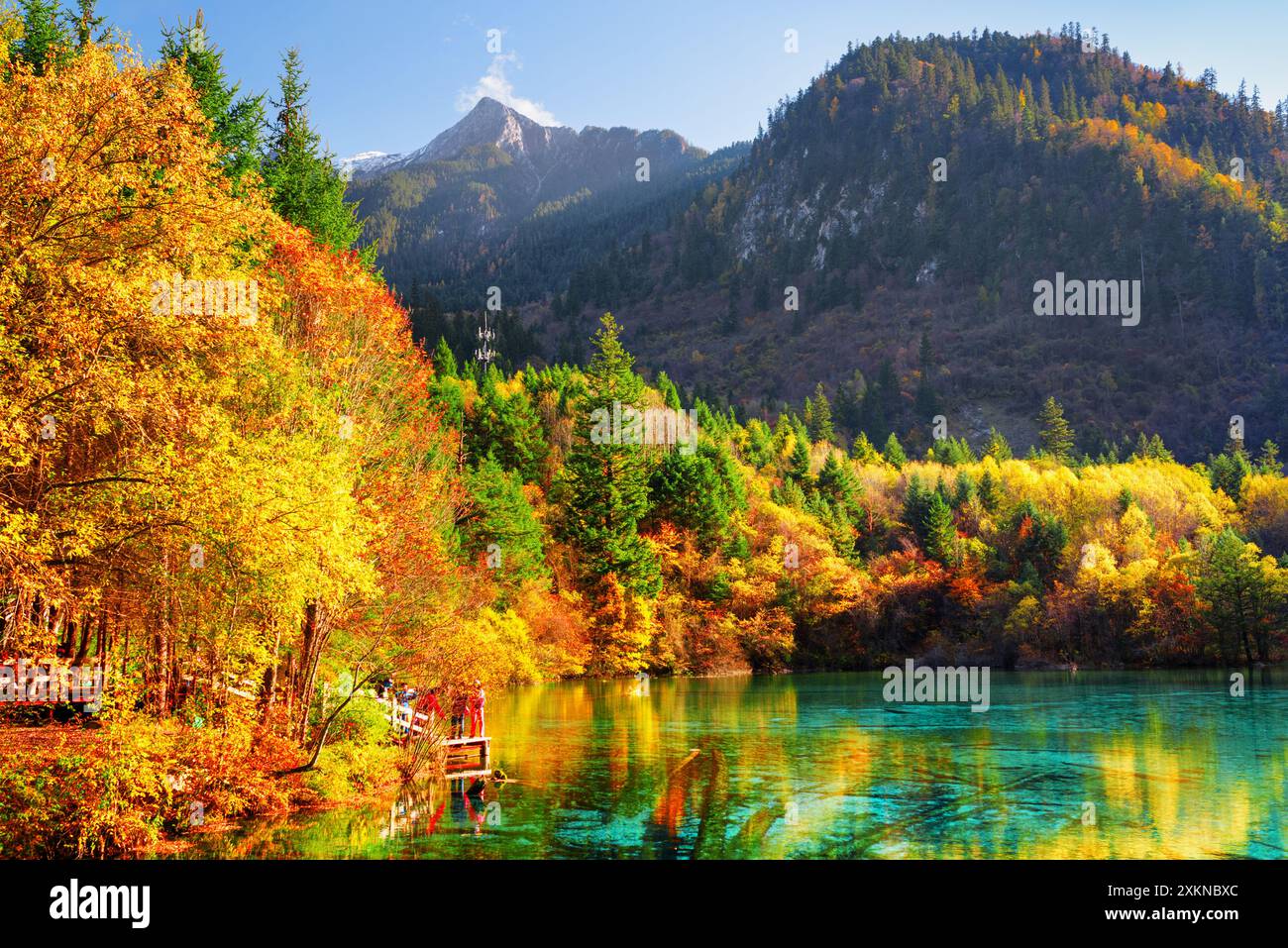 The Five Flower Lake (Multicolored Lake) among autumn woods Stock Photo ...
