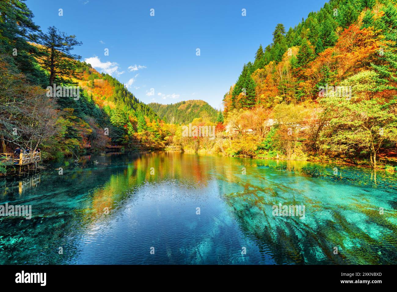 Colorful autumn forest reflected in the Five Flower Lake Stock Photo ...