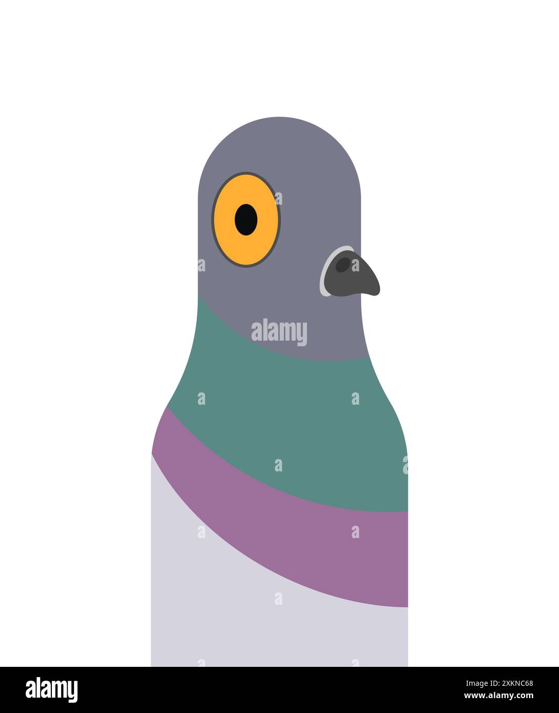 Cartoon Pigeon isolated. Dove funny Vector illustration Stock Vector ...