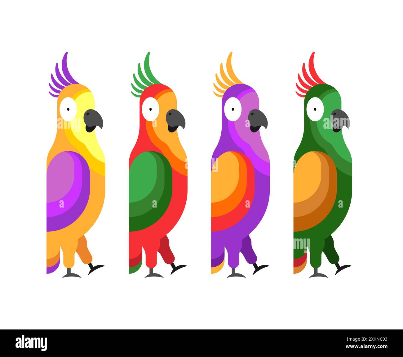 Cartoon Parrot set. popinjay Vector illustration Stock Vector Image ...