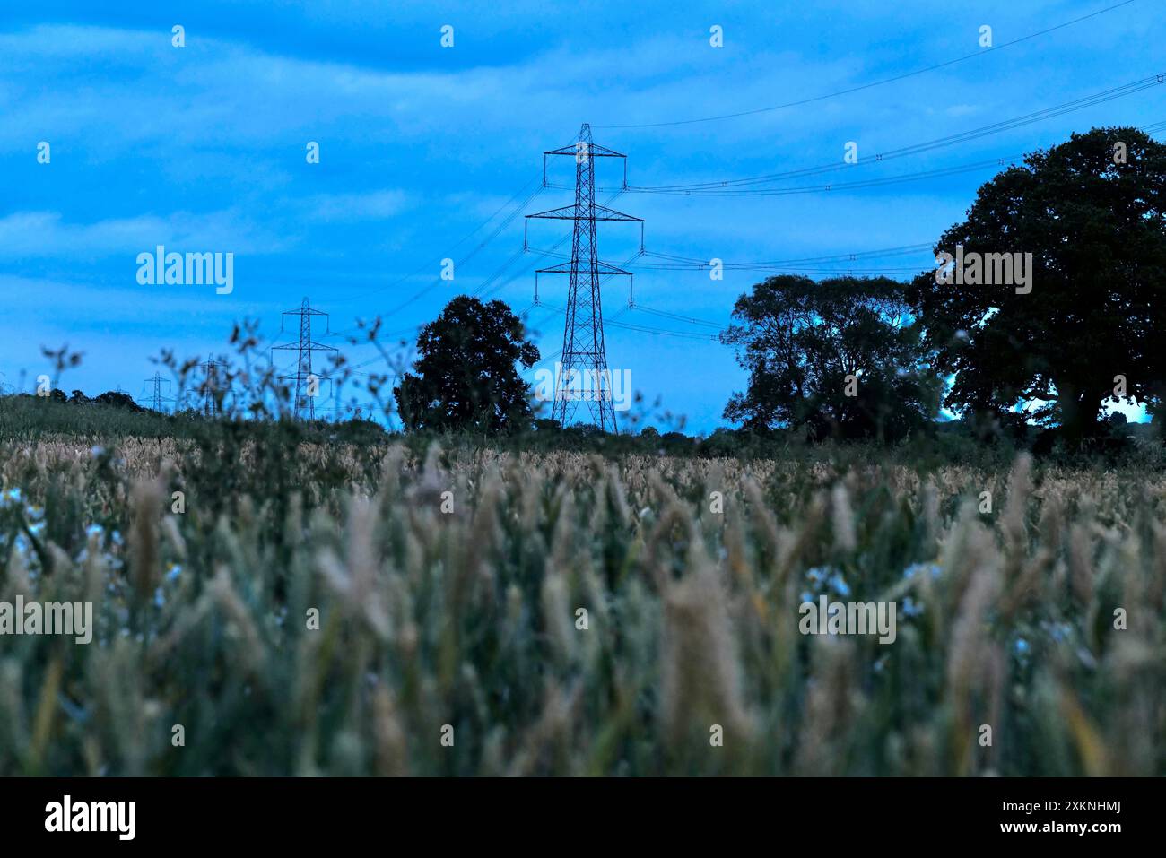 High Voltage Electricity pylons tower above the countryside connecting ...