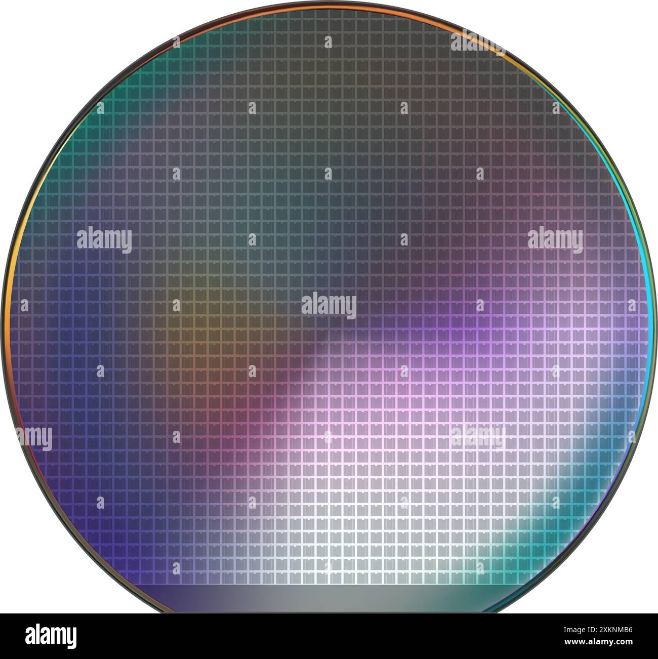 Truncated silicon wafer plate with microchip cells and holographic ...