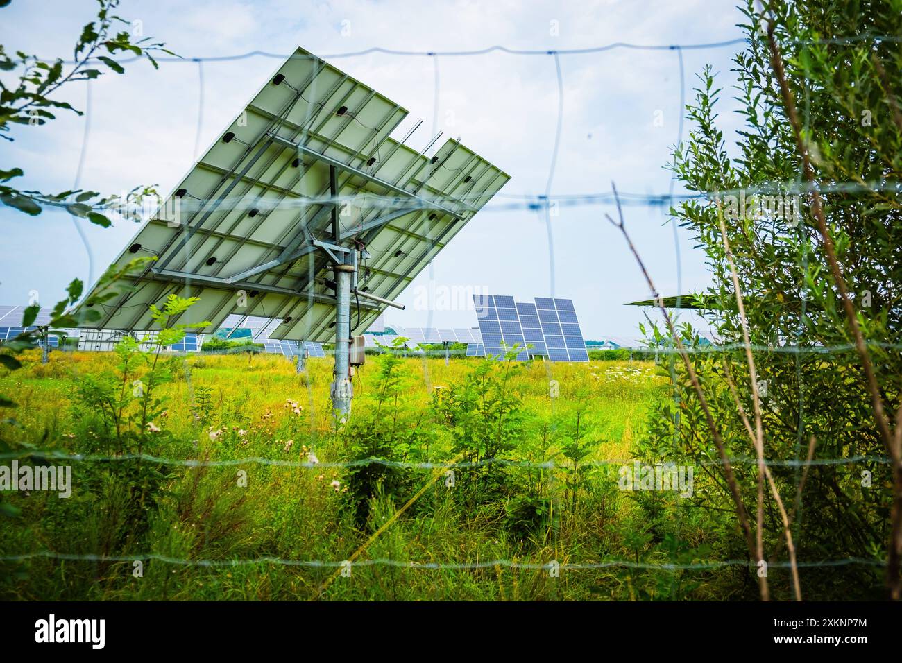 Photovoltaik Anlage auf einem Feld, Bayern, Deutschland Editorial use ...