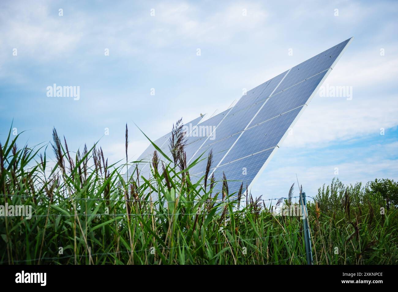 Photovoltaik Anlage auf einem Feld, Bayern, Deutschland Editorial use ...