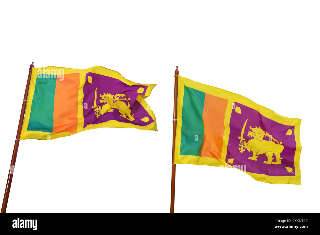 Two flags with a lion on them. One is purple and yellow, the other is ...
