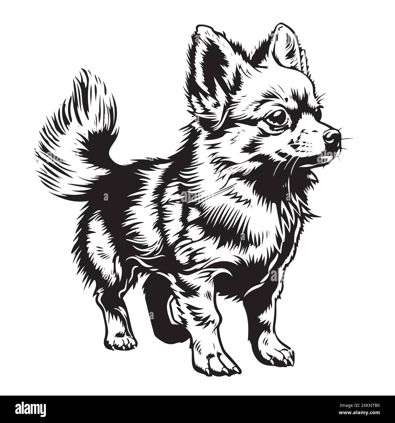 Cute mini foxy face. Dog head icon. Hand drawn isolated vector ...