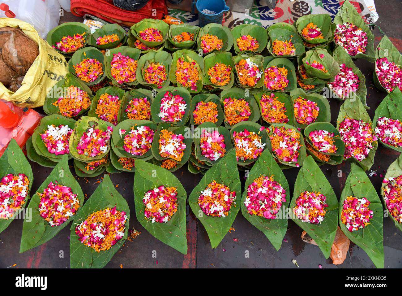 Flowers arranged in a leaf baskets are floated in the river ganges by ...