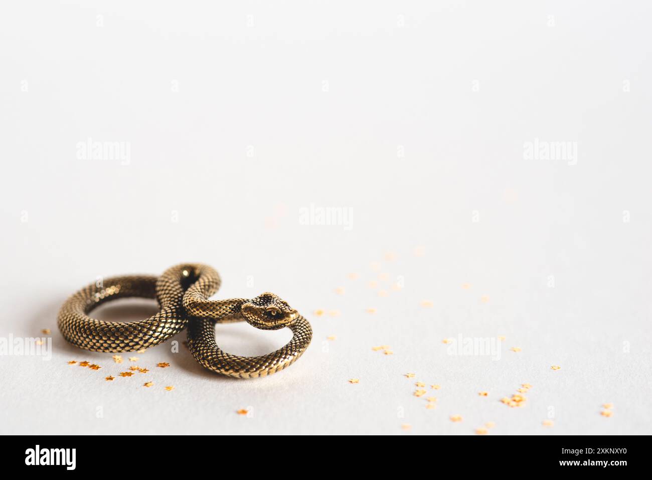 Bronze snake figurine on a white background. The symbol of 2025 Stock ...