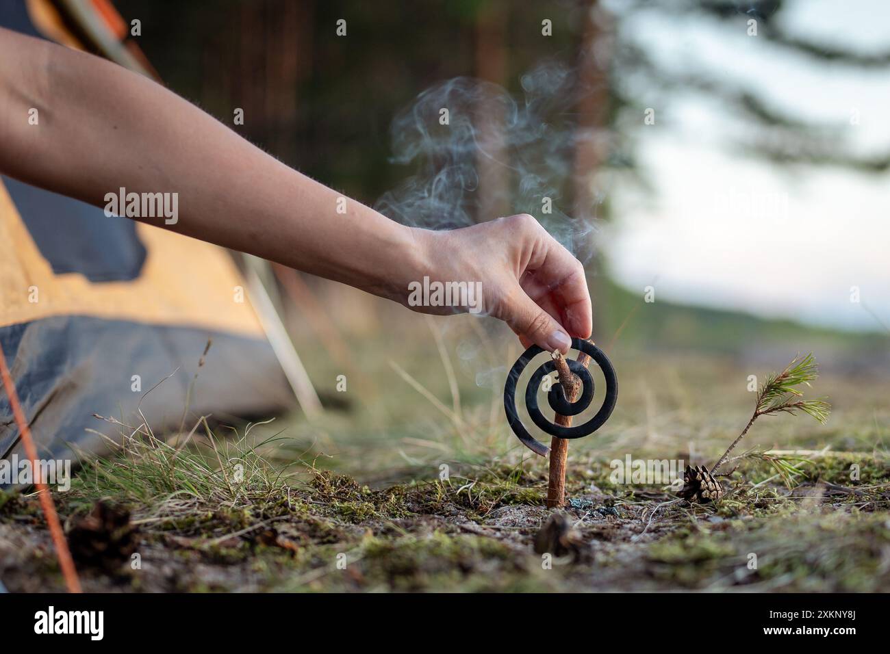 Unrecognizable hand burning mosquito coil spiral - fumigator during ...