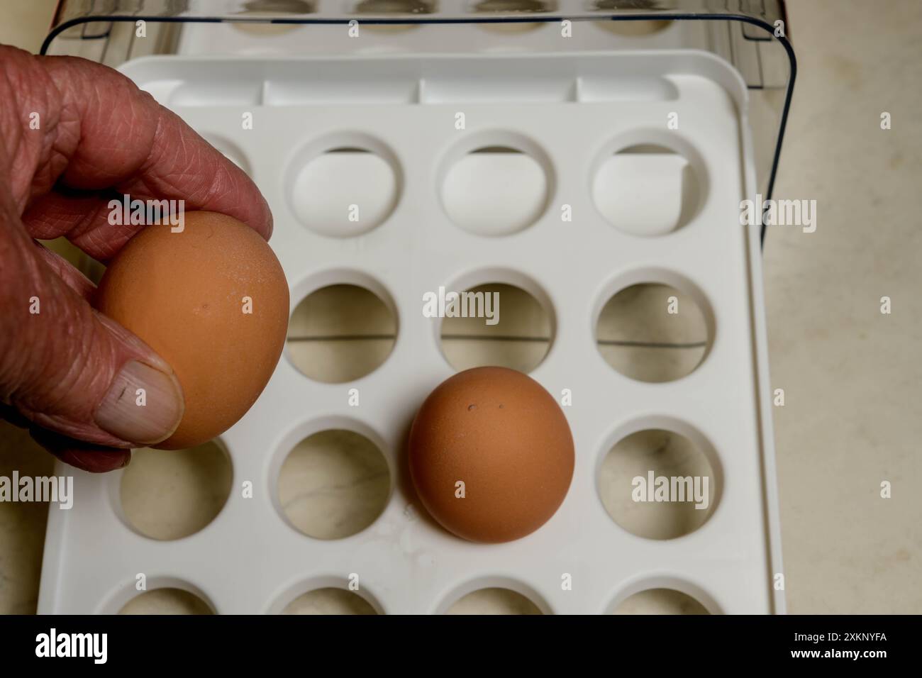 Bird Flu causes Egg Shortage in Australia Stock Photo - Alamy